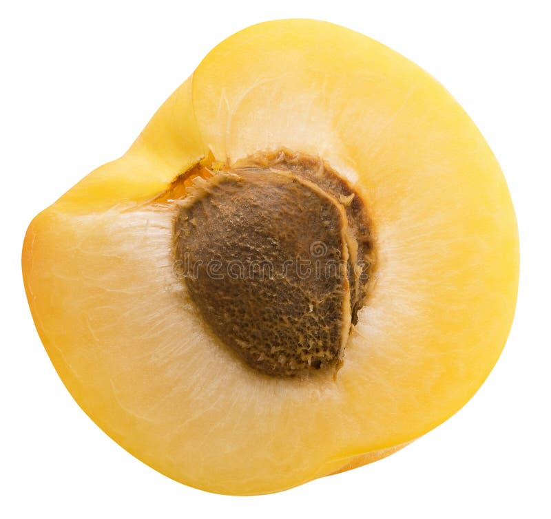 In One Half of the Apricot Crawling Malicious Worm Stock Photo - Image ...