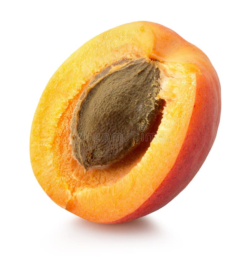 Half of Apricot Isolated on the White Backhround Stock Image - Image of ...