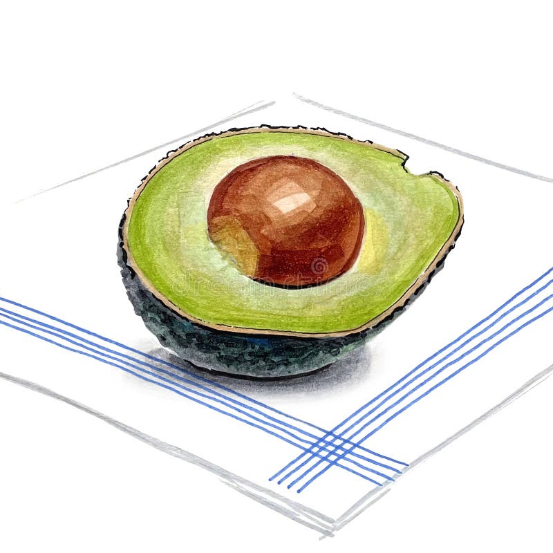 Half an Avocado Drawing with Markers, Drawing with Markers Stock Image ...
