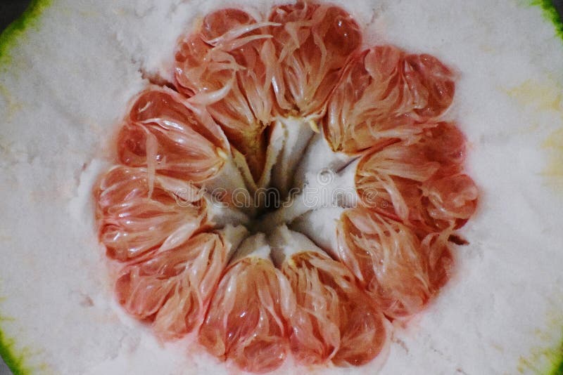 Half of a big lemon fruit stock image. Image of lemon - 253634531