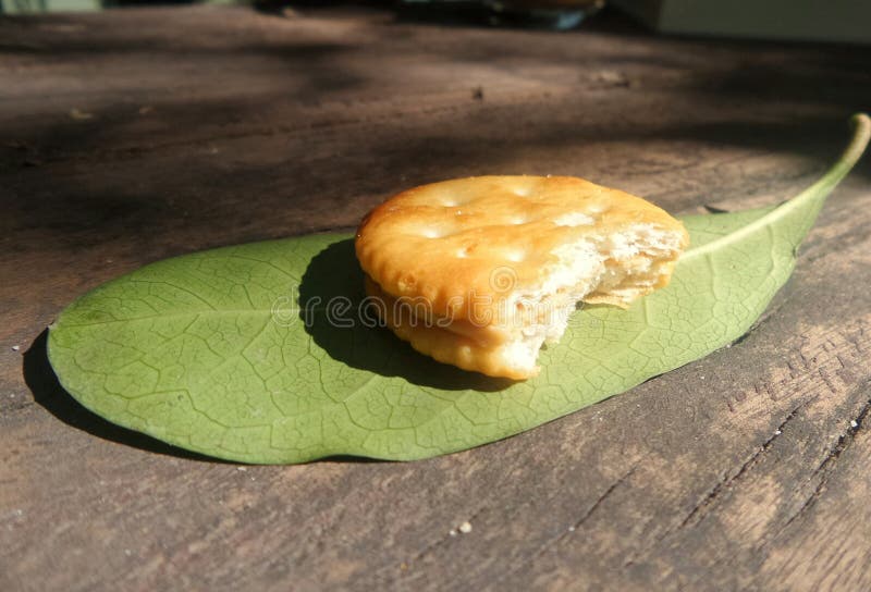 Half Biscuit on Green Leaf for Outdoor Picnic Stock Image - Image of ...