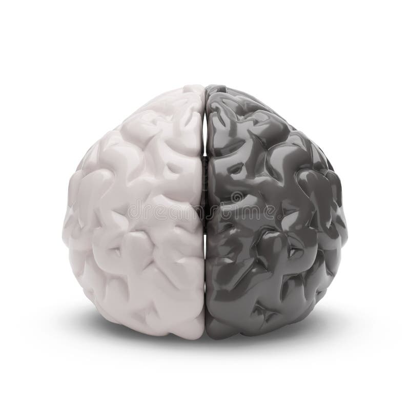 Half Black and Half White Human Brain Isolated on White Background. 3d ...