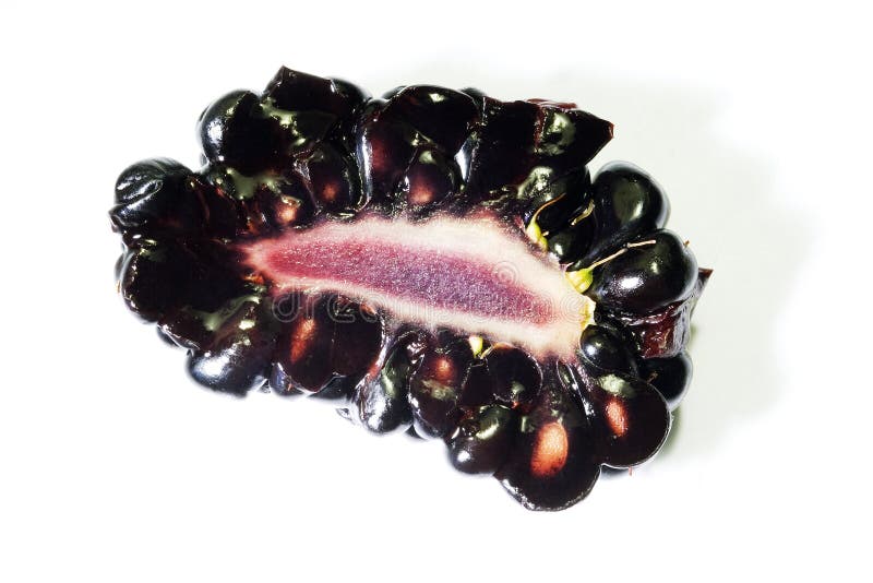 Half Of Blackberry Isolated With White Background Picture. Image: 3702021