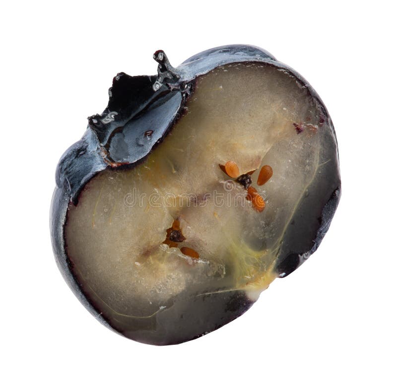 Half of Blueberry Isolated on a White Background Stock Image - Image of ...