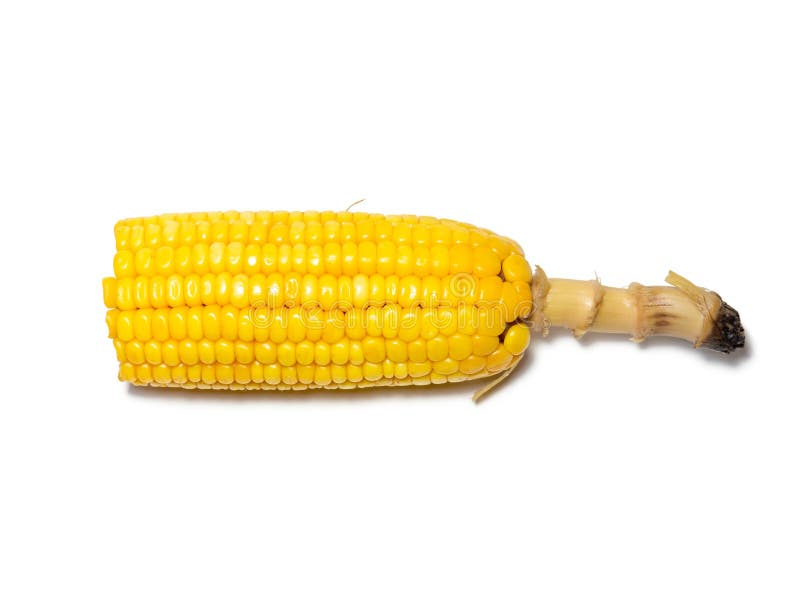 Half of Boiled Corn on a White Background. Half a Cob. Yellow Grains ...