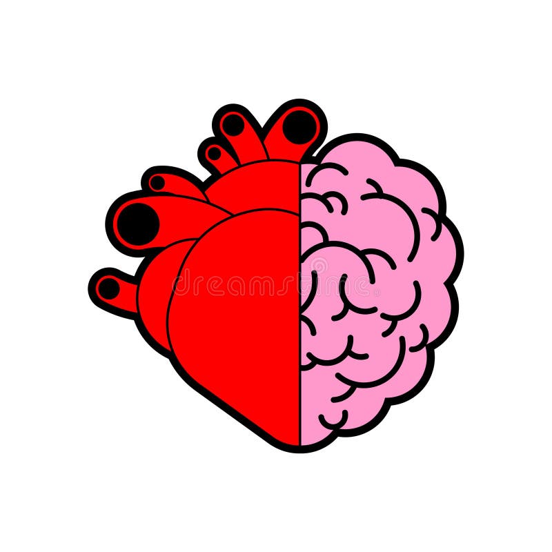 Half Brain and Half Heart. Combine Feelings and Reason Stock Vector ...