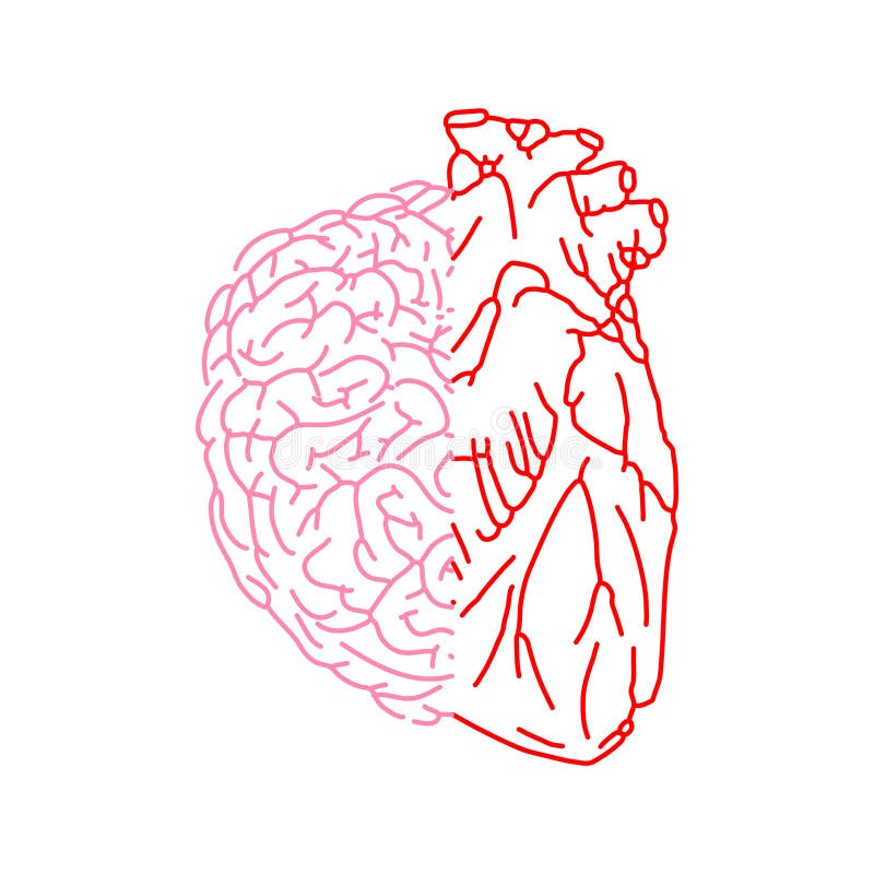 Half Brain and Half Heart. Combine Feelings and Reason Stock Vector ...