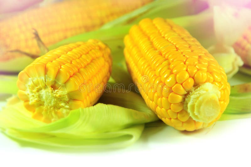 Half Break Sweet Corn,close Up Yellow Fresh Half Corn Raw Delicious ...