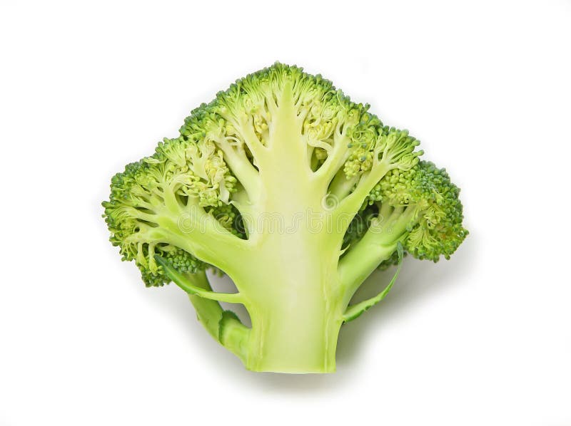 Half of Broccoli vegetable stock image. Image of brocoli - 89653029