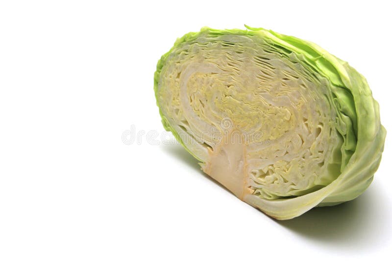 Half of cabbage stock photo. Image of vegetarian, savoy - 66173060