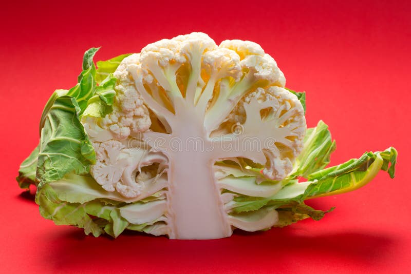Half cauliflower stock photo. Image of bisect, single - 39269204