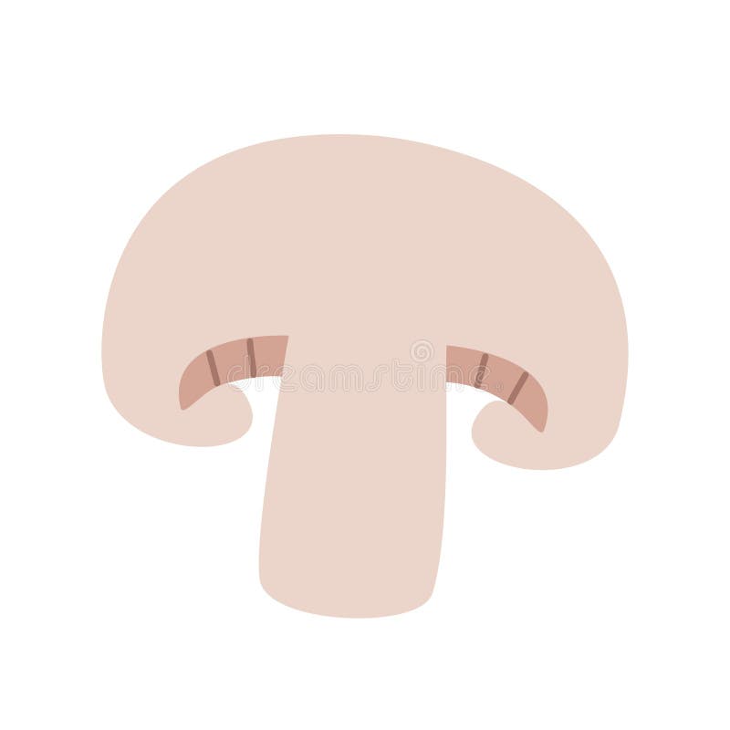 Mushroom Cutaway Stock Illustrations – 14 Mushroom Cutaway Stock ...