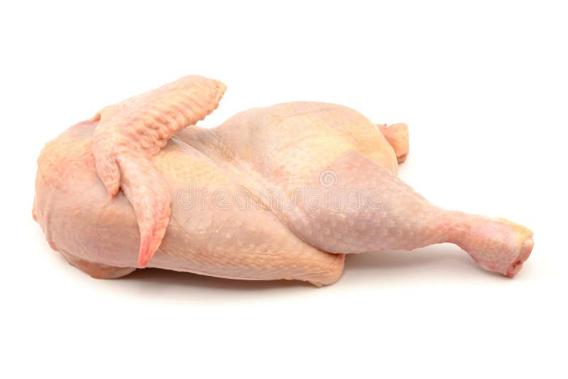Half of a chicken stock photo. Image of thigh, meat - 313705374