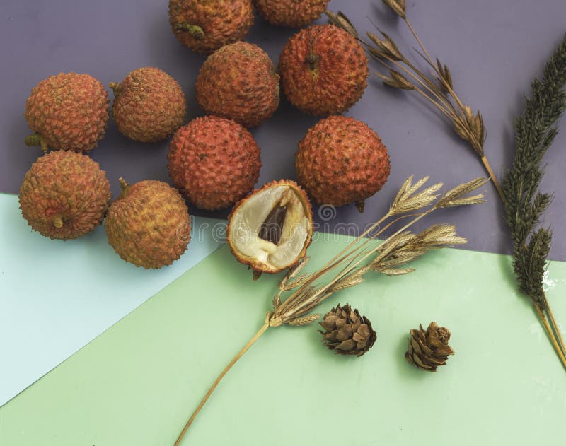 Dried Lychees Isolated stock image. Image of sweet, healthy - 7987425