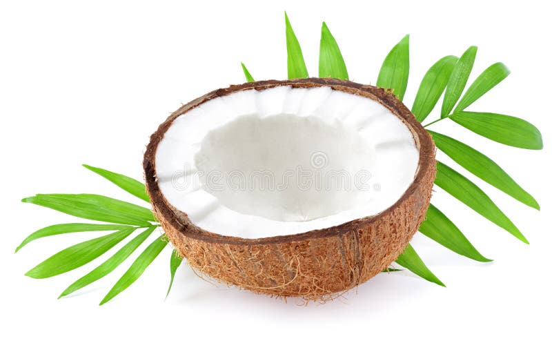 Coconut with Green Leaf Presentation Stock Image - Image of healthy ...