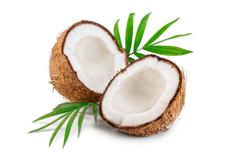 Half of Coconut with Leaves Isolated on White Background Stock Image ...