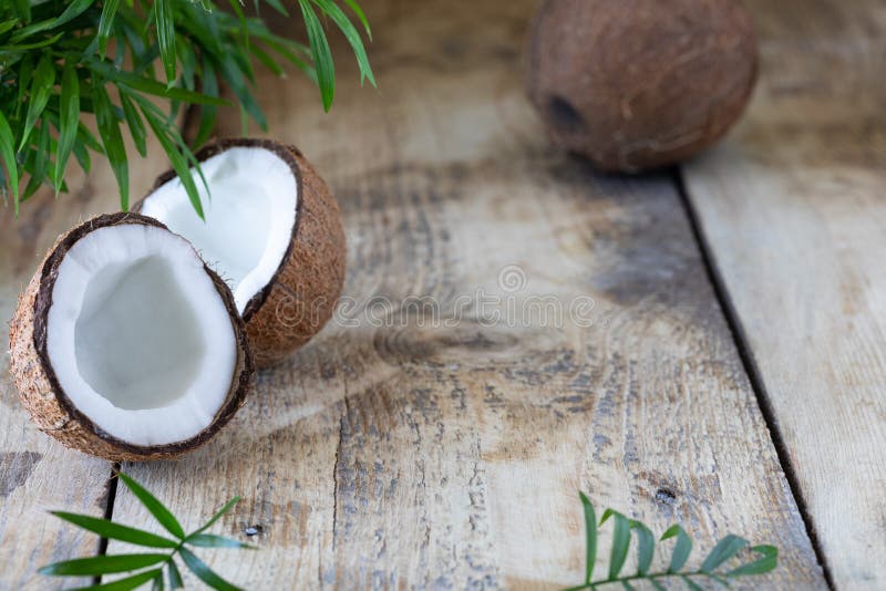 Half a Coconut and a Palm Branch Lie on a Wooden Table. Copy Space ...