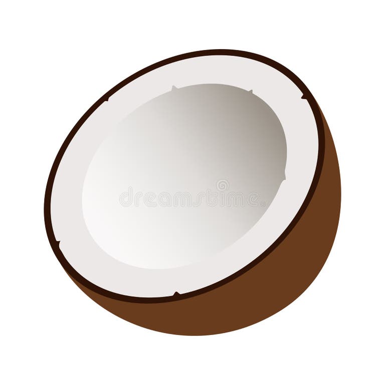 Half of Coconut with Shadow Stock Vector - Illustration of palm, food ...