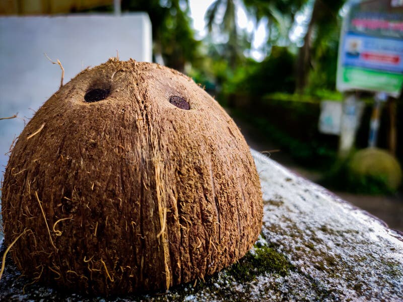 Half Coconut Shell on the Wall Close-up Stock Image - Image of knot ...