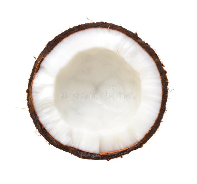 Half coconut top view i stock image. Image of nature - 66950345