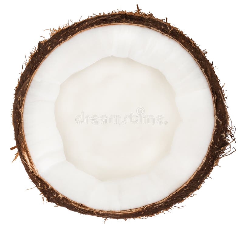 Half Coconut Top View Isolated on White Stock Image - Image of white ...