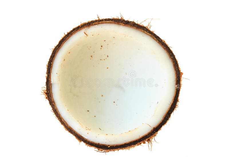 Half Coconut Top View Isolated Stock Image - Image of brown, gourmet ...