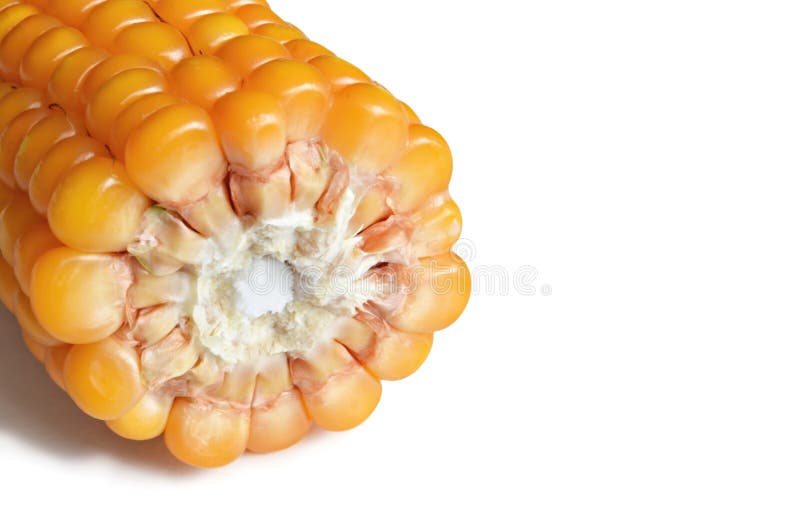 Half corn on the cob stock image. Image of food, summer - 20579089