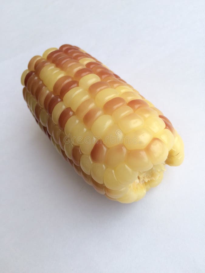 Half a corn stock image. Image of ripe, kernel, corn - 32771607
