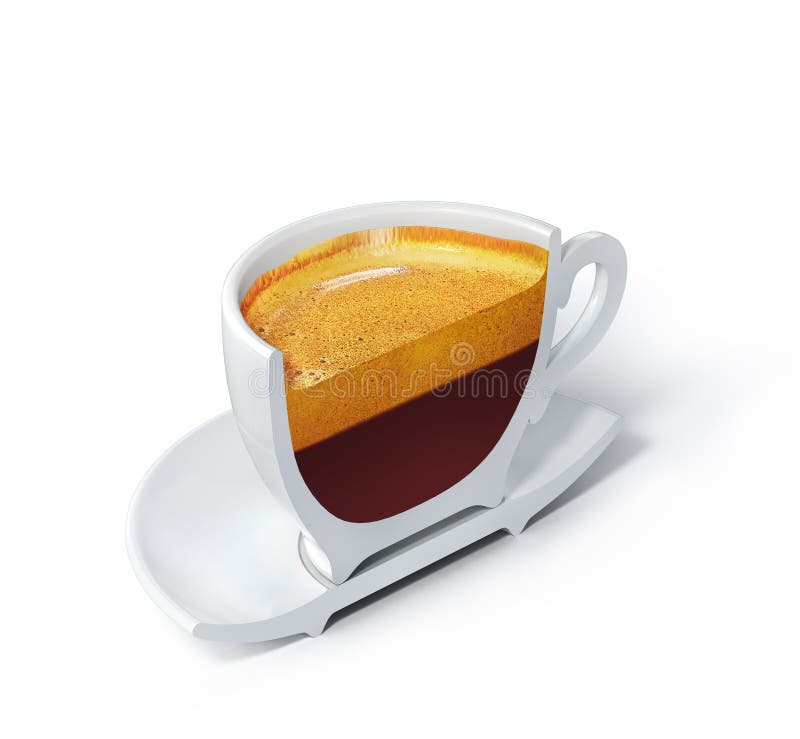 Half a Cup of Espresso. Vertical Cut of Cup with Espresso Stock ...