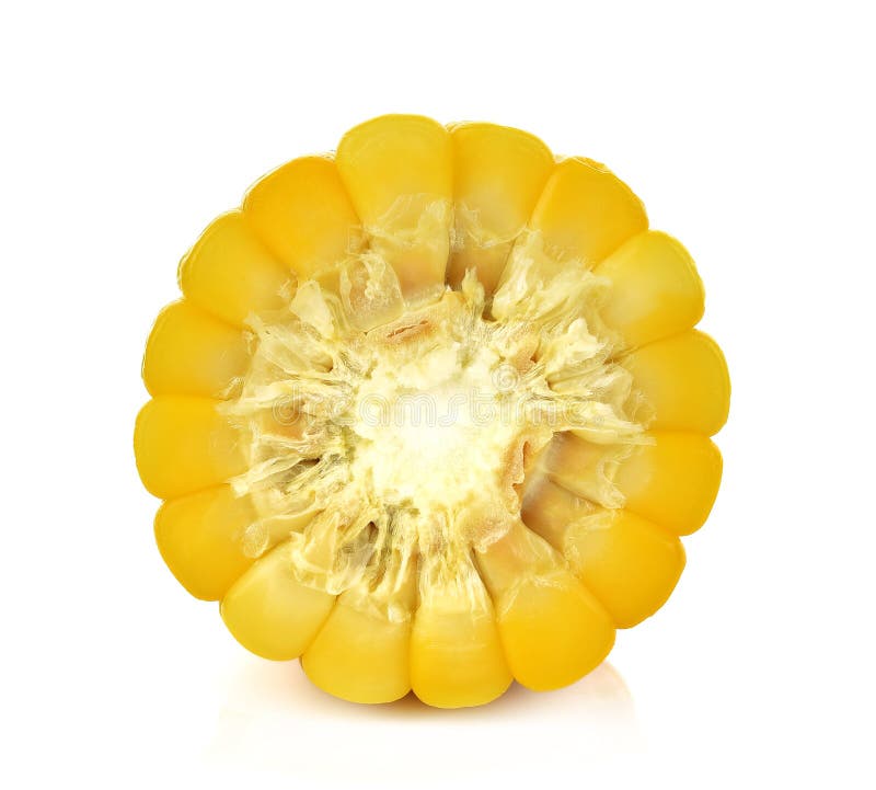 Corn stock photo. Image of closeup, seeds, isolated - 123566366