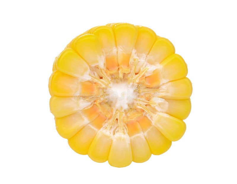 1,509 Cut Corn Kernels Stock Photos - Free & Royalty-Free Stock Photos ...
