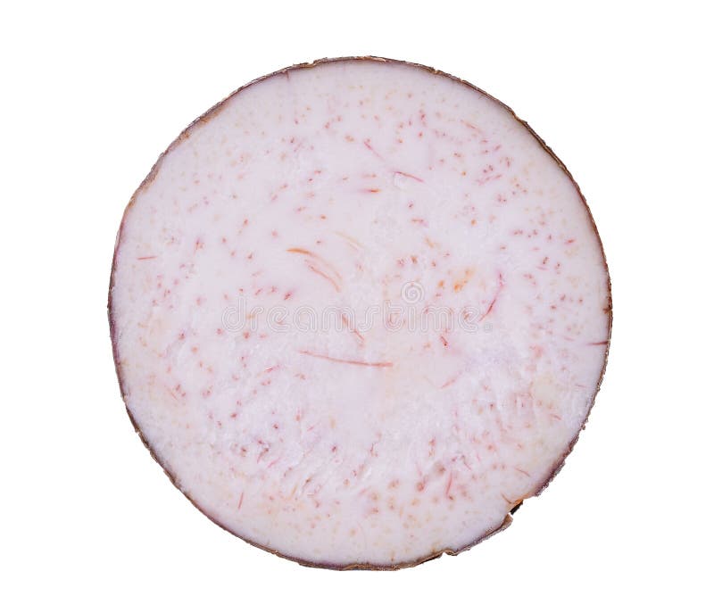 Half Cut of Taro Root Isolated on White Stock Image - Image of exotic ...