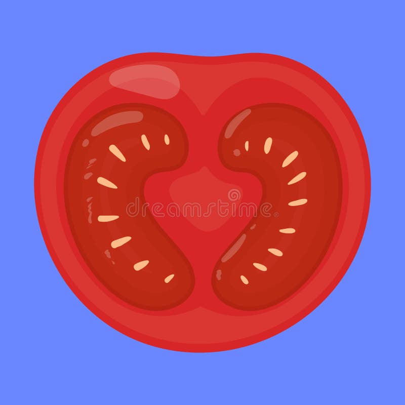 Half Cut Tomato Icon Vector. Half Tomato Vegetable Icon Vector Stock ...