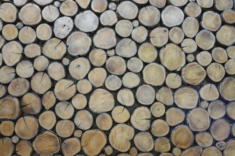 Half Cut of the Tree Wooden Background Stock Photo - Image of lumber ...