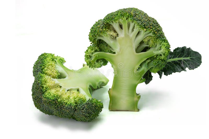 Small Fly in Broccoli Floret Close Up, Concept Image of Insects and ...