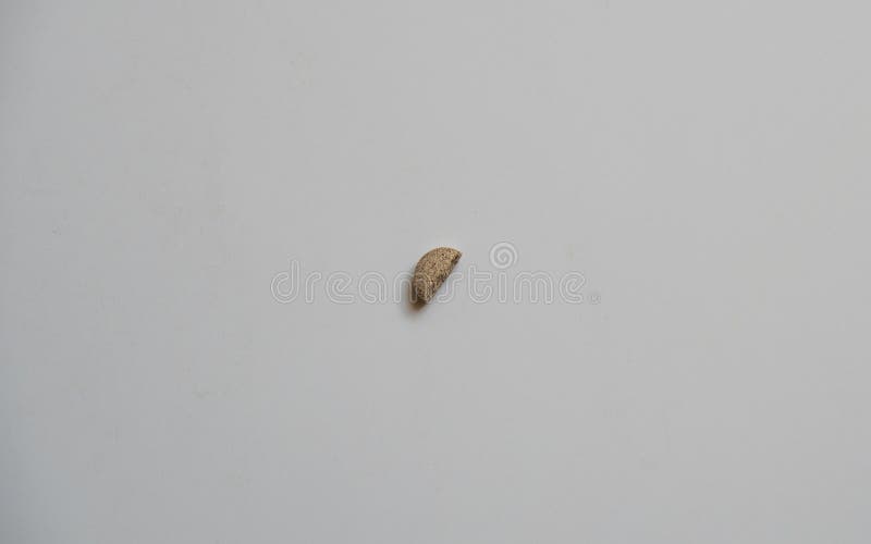 Half a Dark Brown Senna Pill, Broken Stock Photo - Image of dark ...