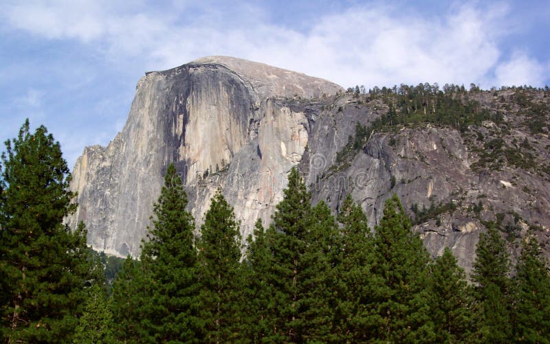 Half Dome stock image. Image of tourism, trees, evergreen - 8903
