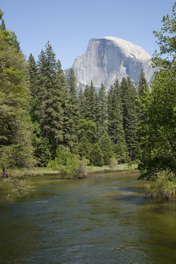 Half Dome from Sentinel Bridge Stock Photo - Image of grandeur, bridge ...