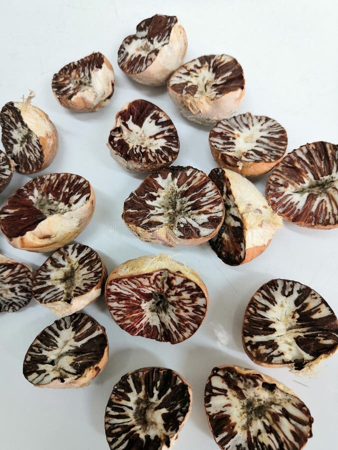 Half dried Piece stock photo. Image of piece, soil, breakfast - 194664596