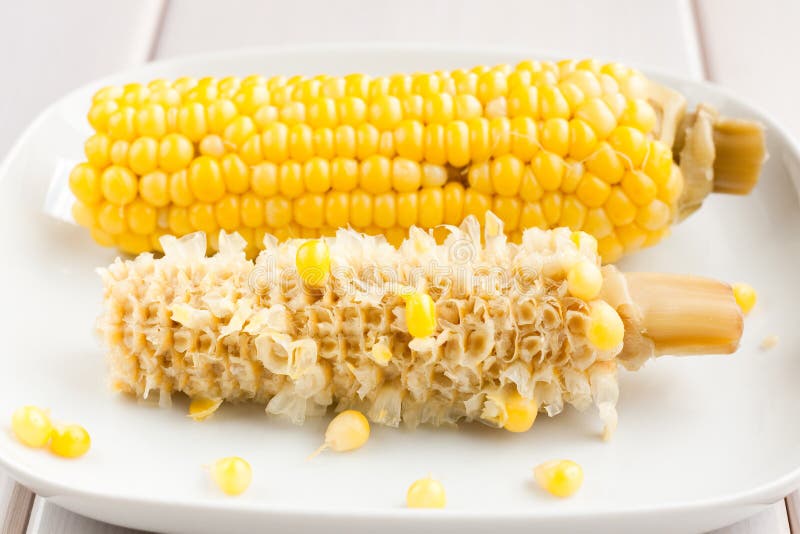 Half-eaten corn on the cob stock image. Image of healthy - 15705741