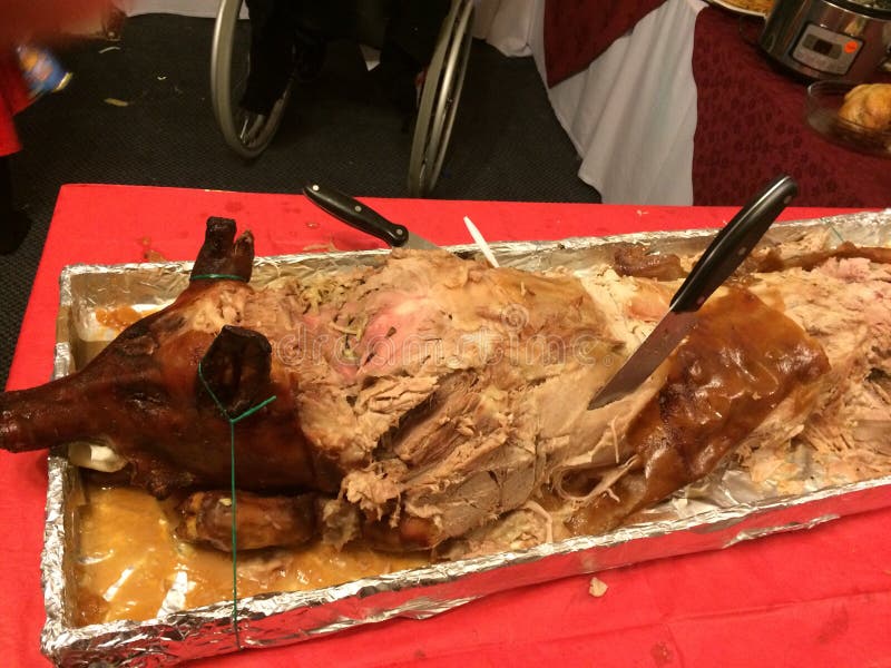 Half eaten stock photo. Image of feed, bone, food, tasty - 48377512