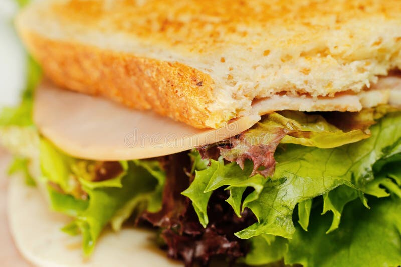 Half-eaten Sandwich Close Up Stock Image - Image of greens, closeup ...