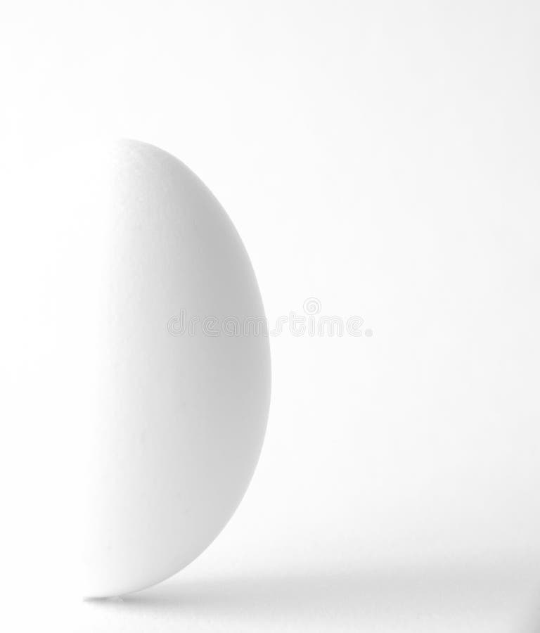 Half of an egg stock photo. Image of food, shadow, white - 19192136