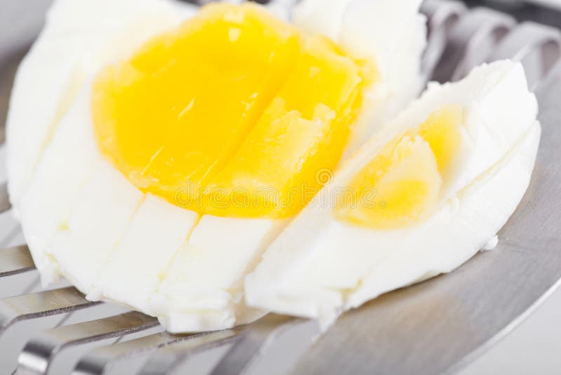 Half egg on cutter stock image. Image of cutting, shell - 29825791