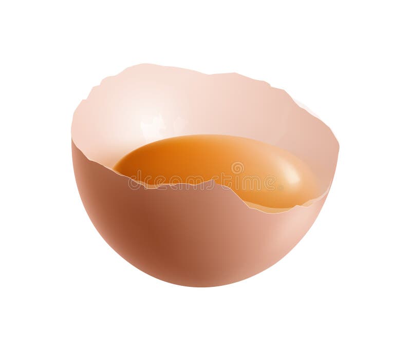 Half Egg Shell Composition stock illustration. Illustration of diet ...