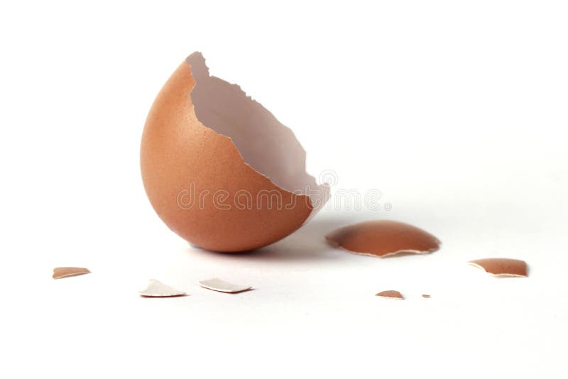 Half egg shell opening. stock photo. Image of isolated - 34764244