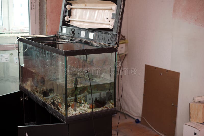 Half Empty Fish Tank in a Room Stock Image - Image of home, walls ...