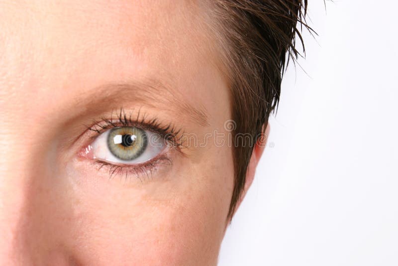 Half a face. stock photo. Image of nature, helpful, corporate - 584128