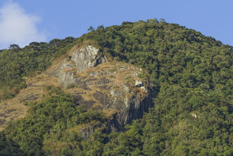 Half face snake Stone stock photo. Image of nature, ridge - 210639546