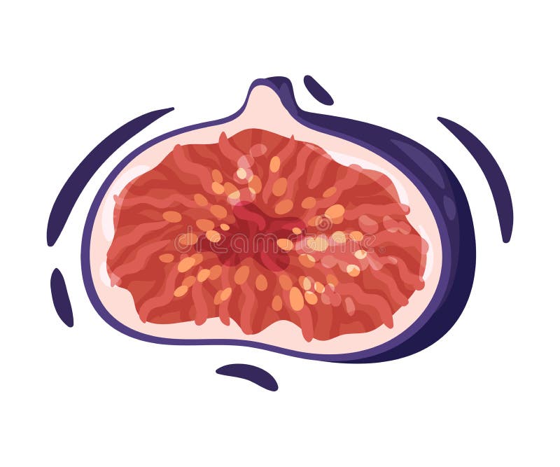 Stylized Fig Stock Illustrations – 119 Stylized Fig Stock Illustrations ...